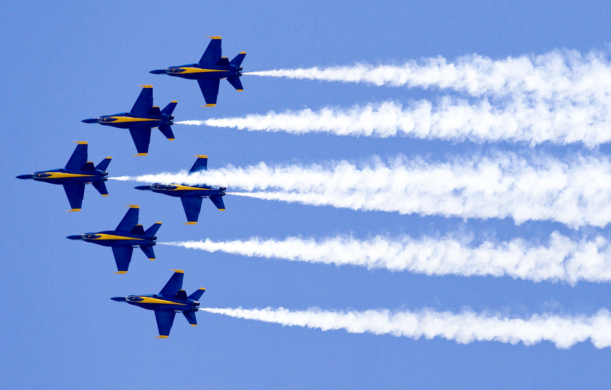 Summer Sun, Summer Fun at Seafair in Seattle! - Zylom